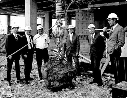 About - Harvey Cleary